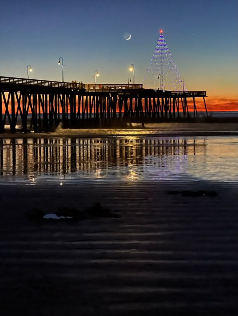 What is the Tall Poppy Syndrome & How It May Be Impacting YOU